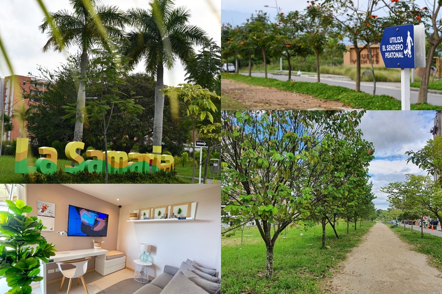 La Samaria, el nuevo bosque urbano de Ibagué | Patrimonio Radial del ...