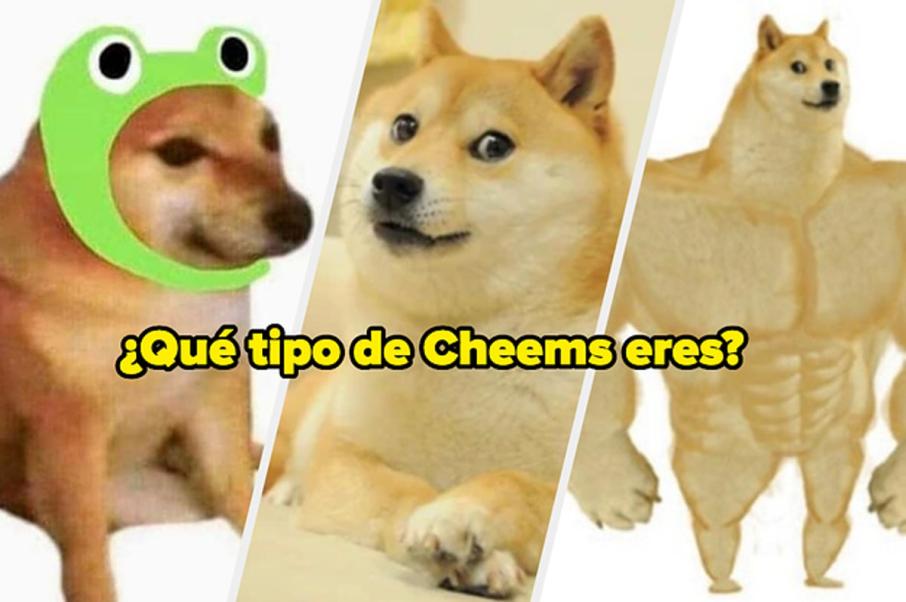Murió Cheems, el perrito conocido en redes sociales por sus memes